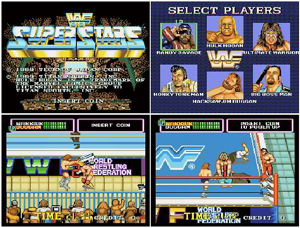 Wwf Superstars Game
